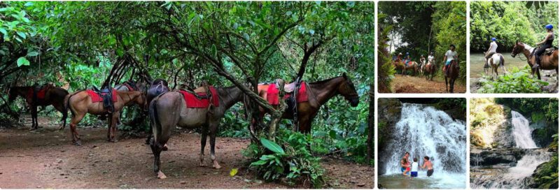 Horseback Riding to the Tocori Waterfall with Lunch - EcoAmerica Tours