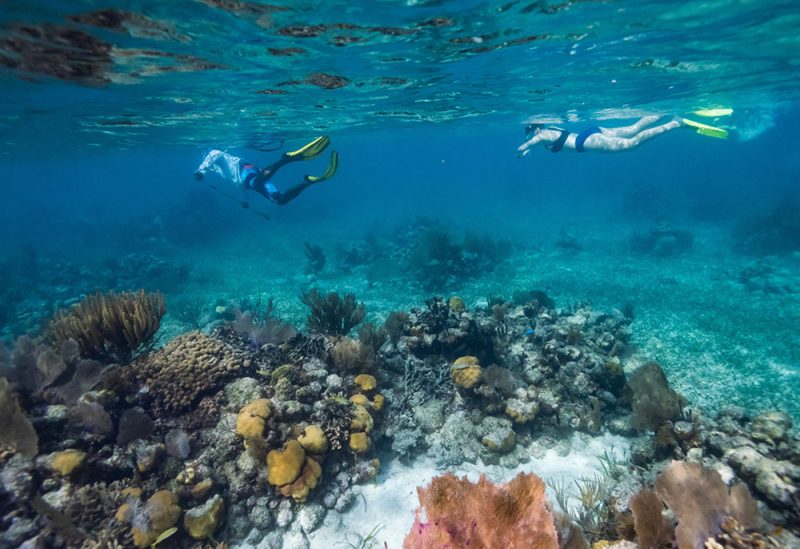 Inner Reef Snorkeling Adventure - EcoAmerica Tours